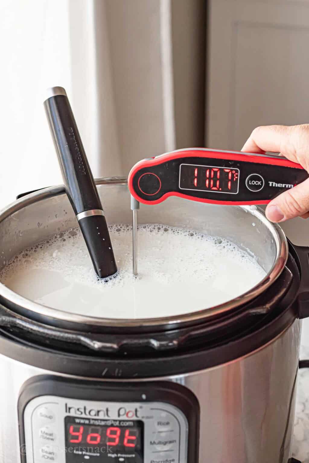 Instant Pot Greek Yogurt | Eat Dessert Snack