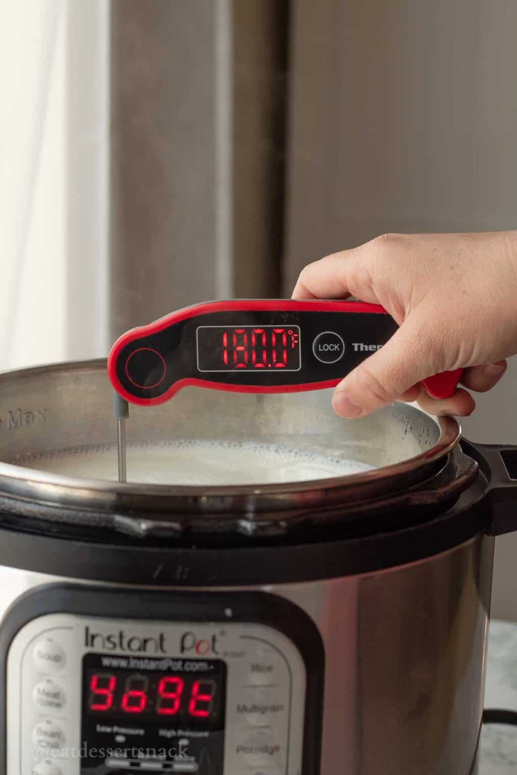 Instant Pot Greek Yogurt | Eat Dessert Snack