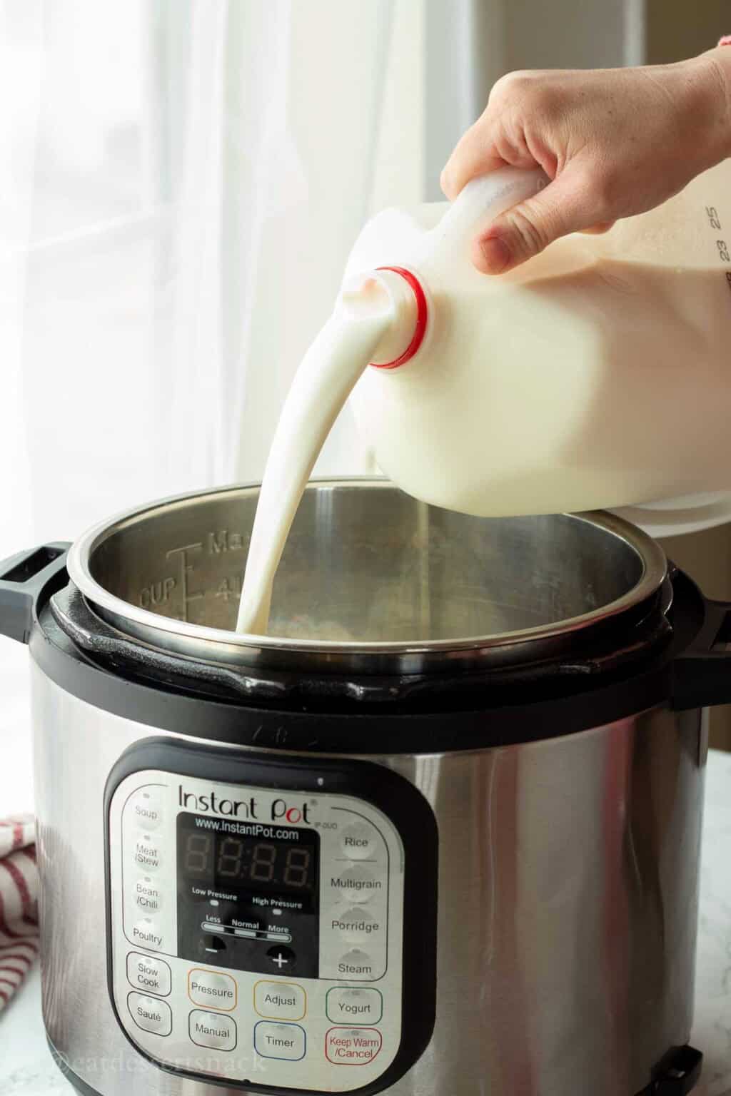 Instant Pot Greek Yogurt | Eat Dessert Snack