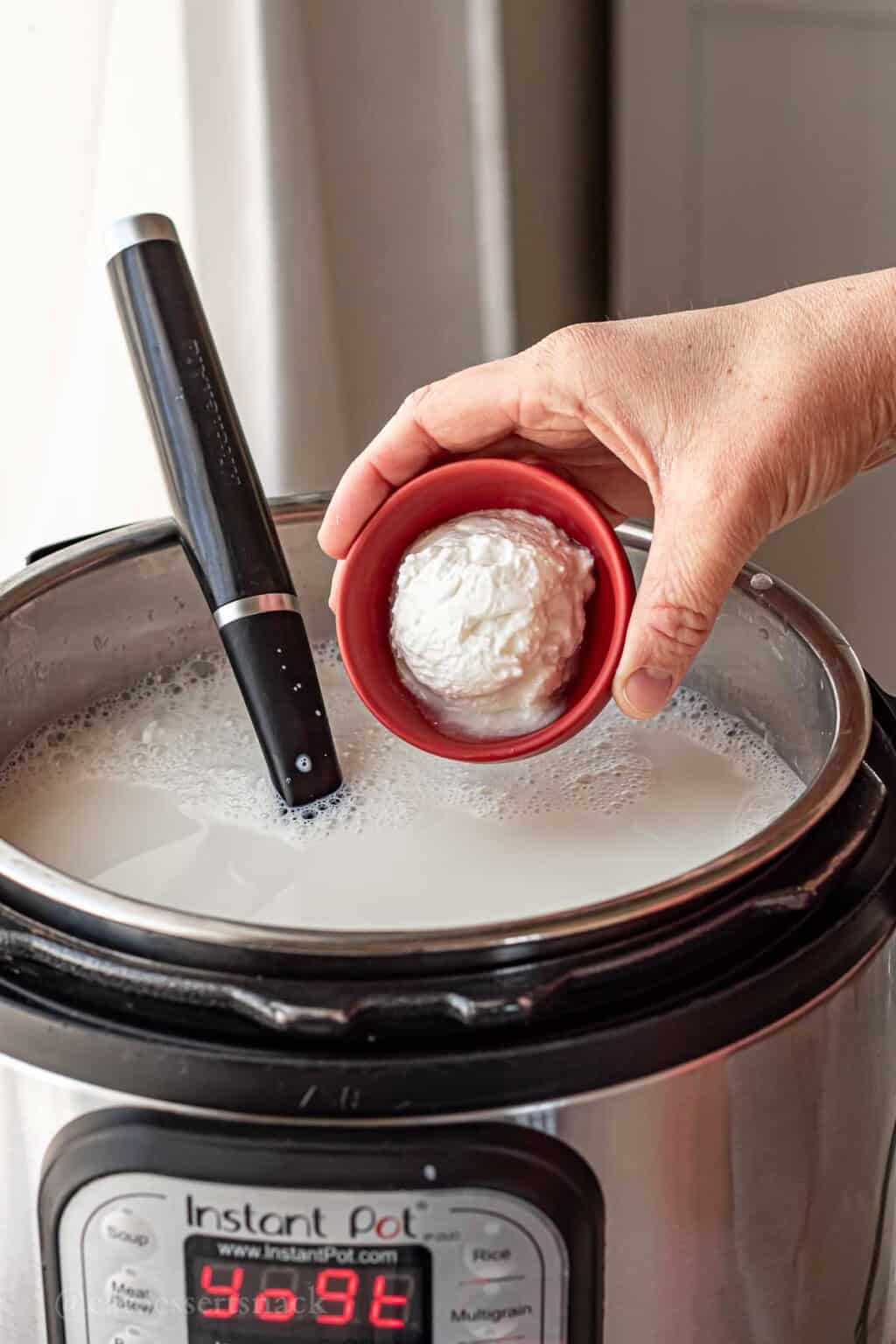 Instant Pot Greek Yogurt | Eat Dessert Snack