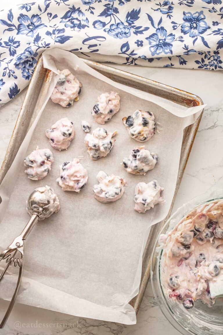 Frozen Blueberries with Yogurt | Eat Dessert Snack