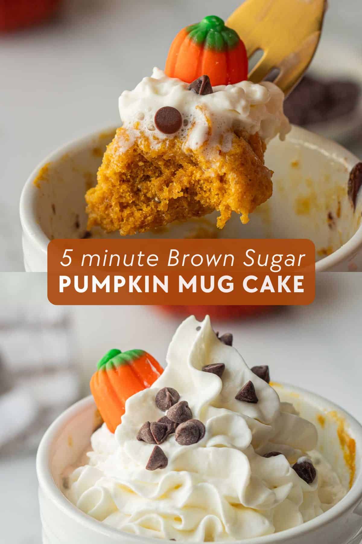 Pumpkin Spice Mug Cake | Eat Dessert Snack
